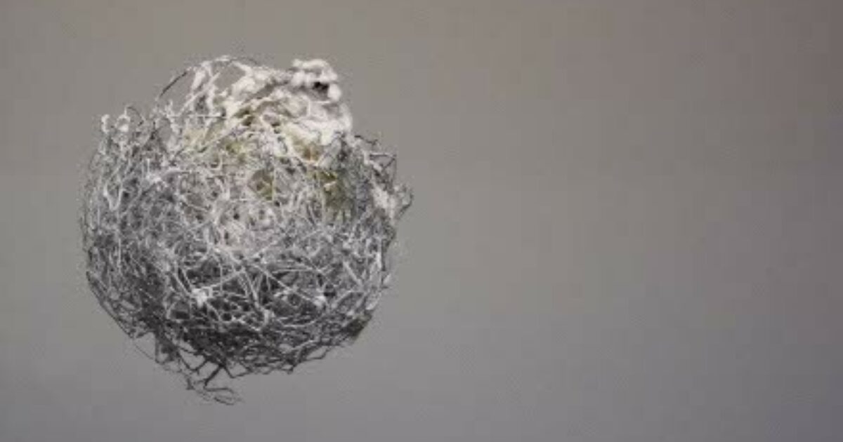 Kate V Robertson | CCA Glasgow