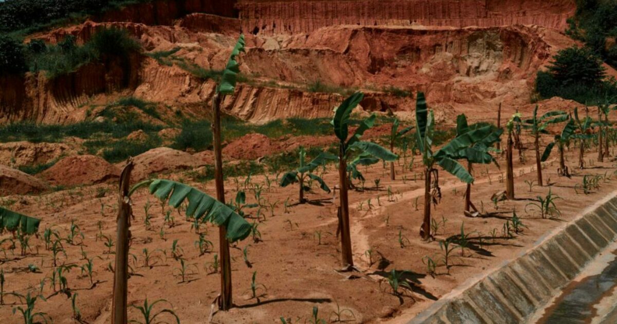 Soil Interfaces and Interactions | CCA Glasgow