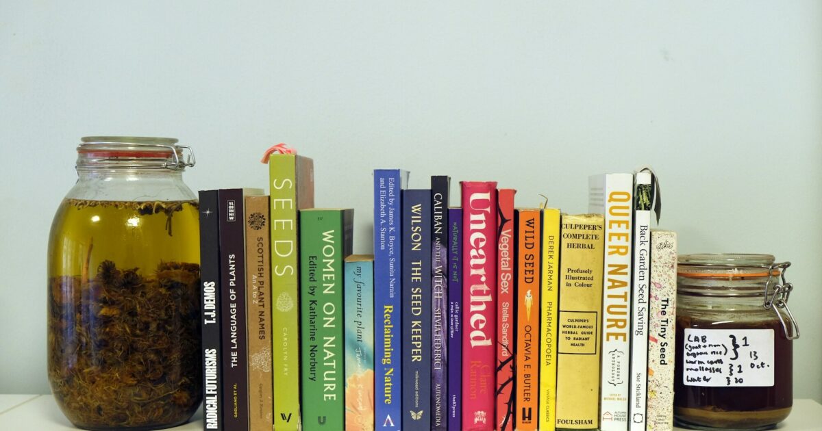 Seed Study | CCA Glasgow