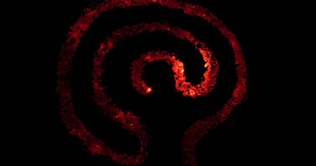 UNFIX Festival: The Dark Mountain Project Double Bill | CCA Glasgow