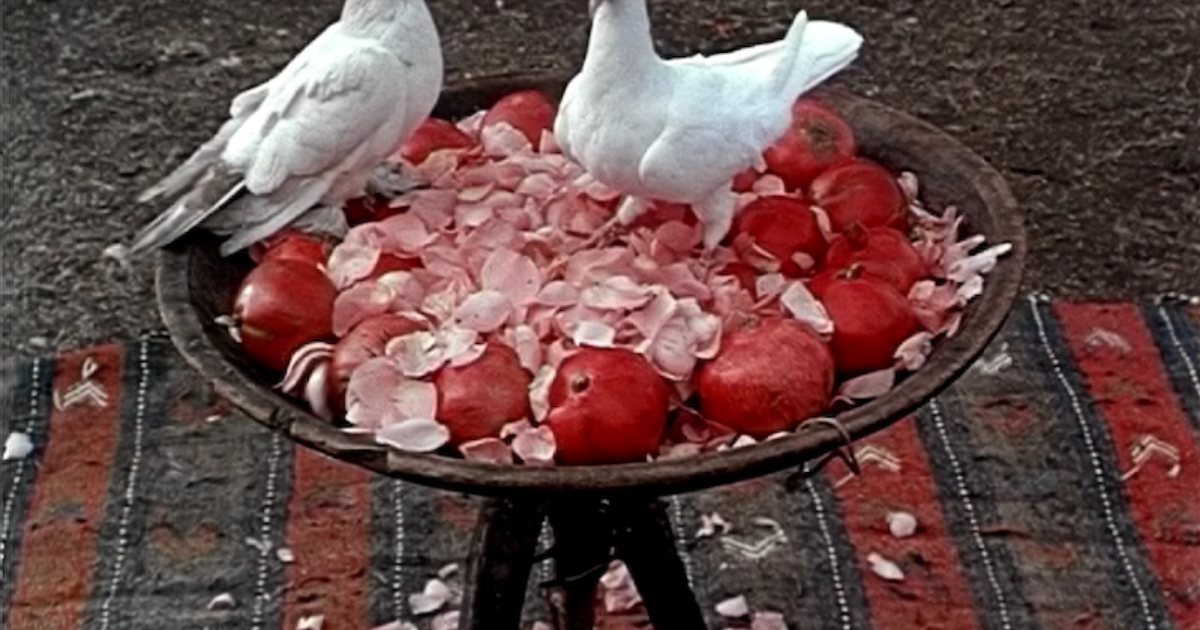 Ashik Kerib/აშიკ-ქერიბი (Georgia, Armenia, 1988) | CCA Glasgow