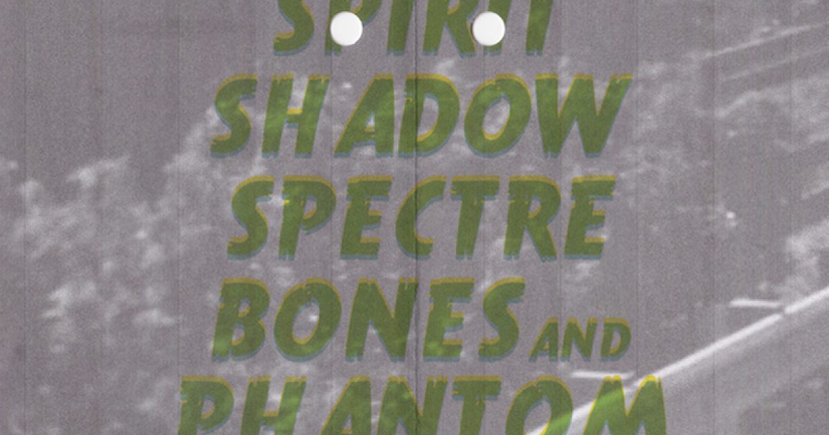 Allison Gibbs SPIRIT SHADOW SPECTRE BONES and PHANTOM | CCA Glasgow